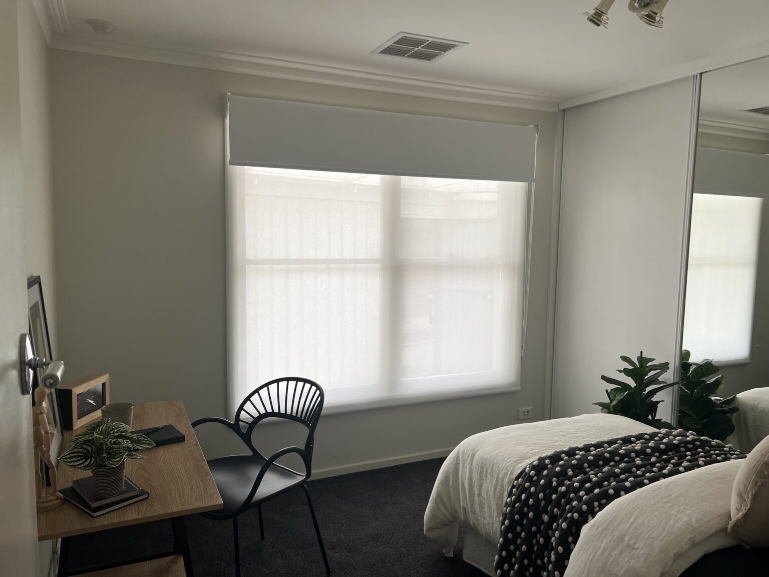 Screen Roller Blinds | Indoor Blinds and Shutters